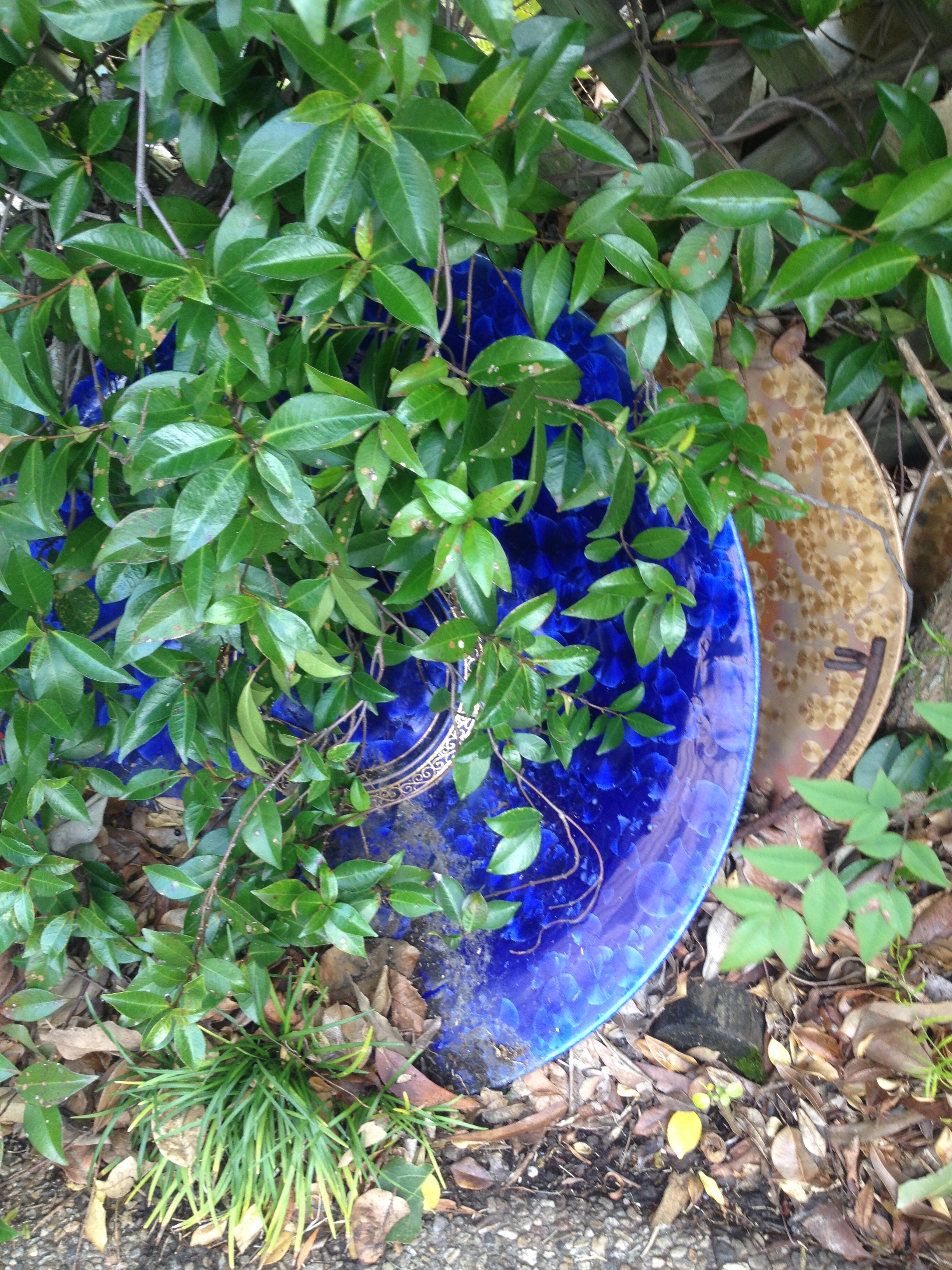 Bill Powell: Rock Star of Crystalline Glazes! - Marian Williams Pottery